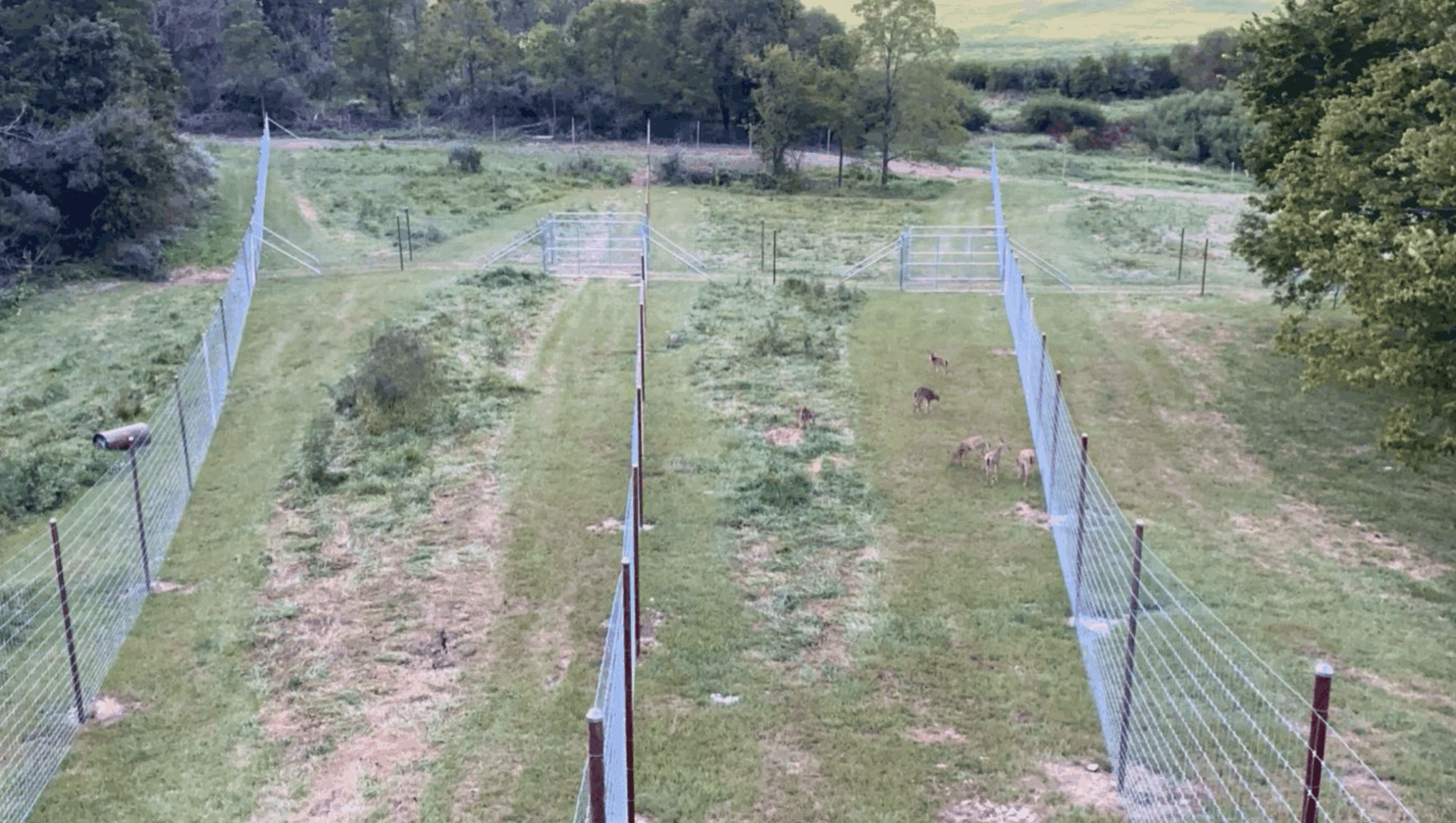 How High Game Fence Improves Farm Security and Protects Crops ...